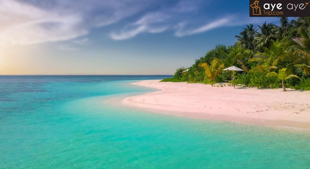 Aye Aye Trip - Best tours & packages for Andaman islands